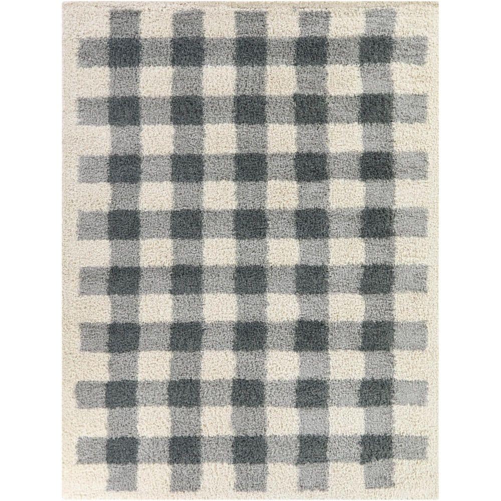 March Blue 5 ft. 3 in. x 7 ft. Gingham Area Rug 52464762.160213.8 - The ...