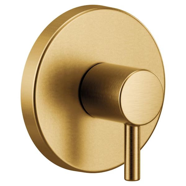 MOEN Align 1-Handle M-CORE Transfer Valve Trim Kit in Brushed Gold (Valve Not Included) UT4191BG ...