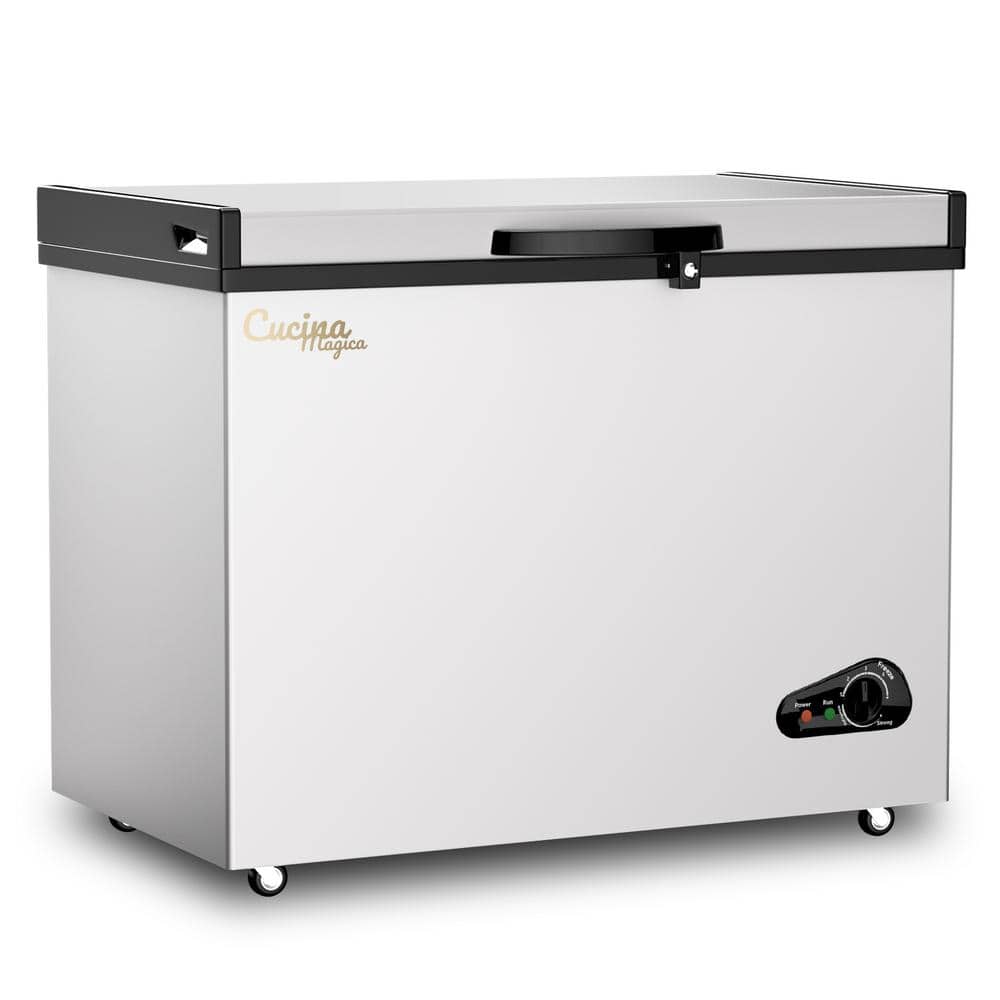 JEREMY CASS 23.9 in. 10.8 cu. ft. Manual Defrost Chest Freezer with 2 ...