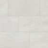 Daltile Bryne Coastline 12 in. x 24 in. Glazed Porcelain Floor and Wall ...