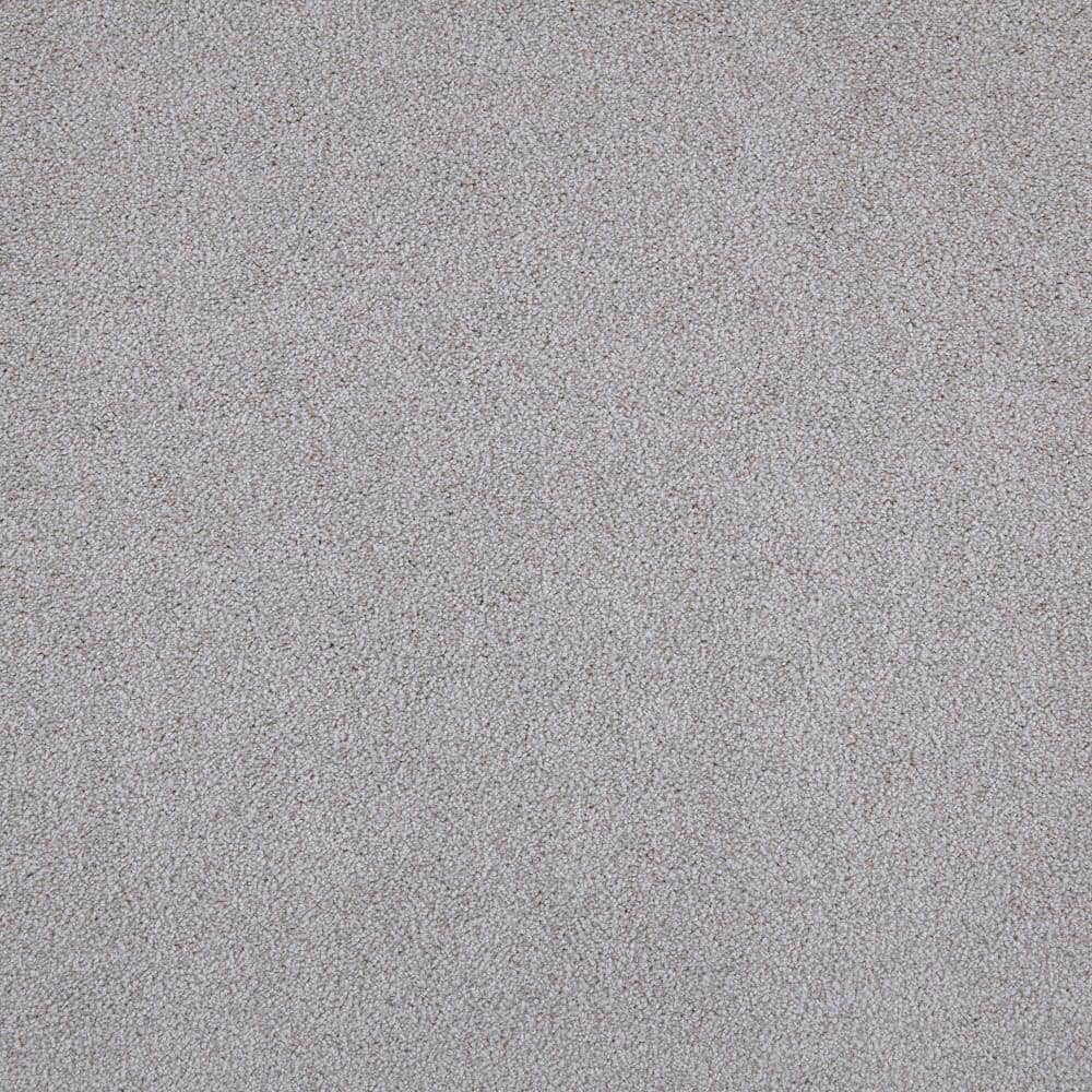Mohawk 8 in. x 8 in. Texture Carpet Sample - Playful Moments II (S ...