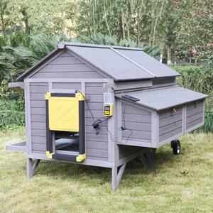 aivituvin Large Chicken Tractor for 2-4 Chickens with Automatic Chicken ...