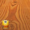 Wolman 1 gal. F&P Natural Exterior Wood Stain Finish and Preservative ...