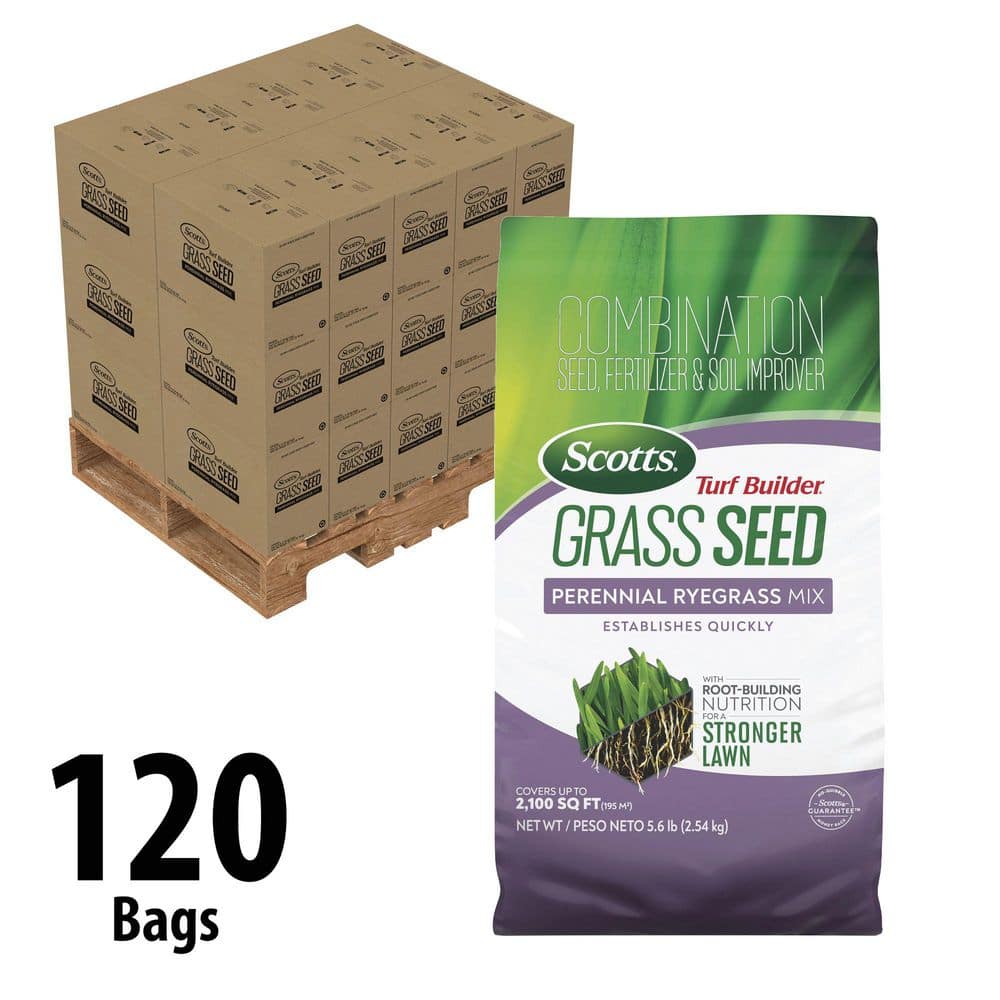 Scotts Turf Builder Grass Seed Perennial Ryegrass Mix 672 lbs. With ...
