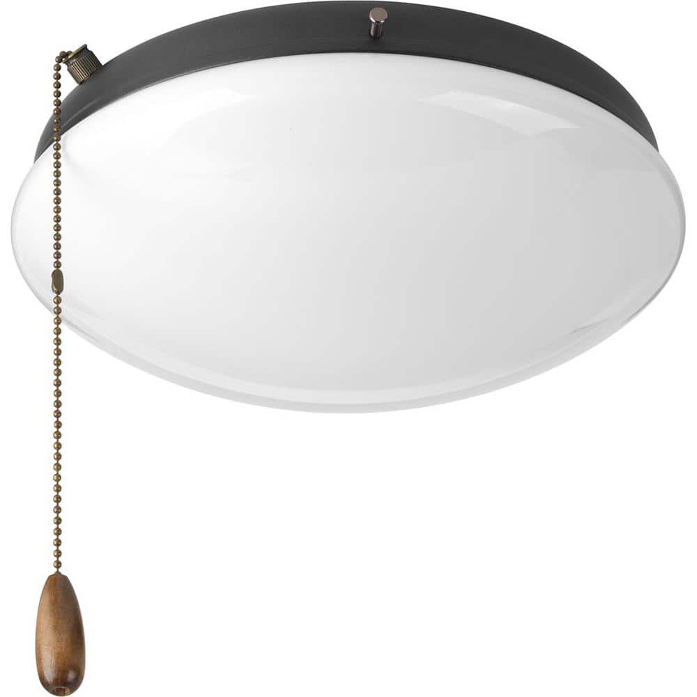 Progress Lighting Fan Light Kits Collection 2-Light Graphite Ceiling ...