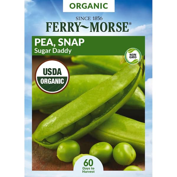 Ferry-Morse Organic Pea Sugar Daddy Fruit Seed 0904 - The Home Depot
