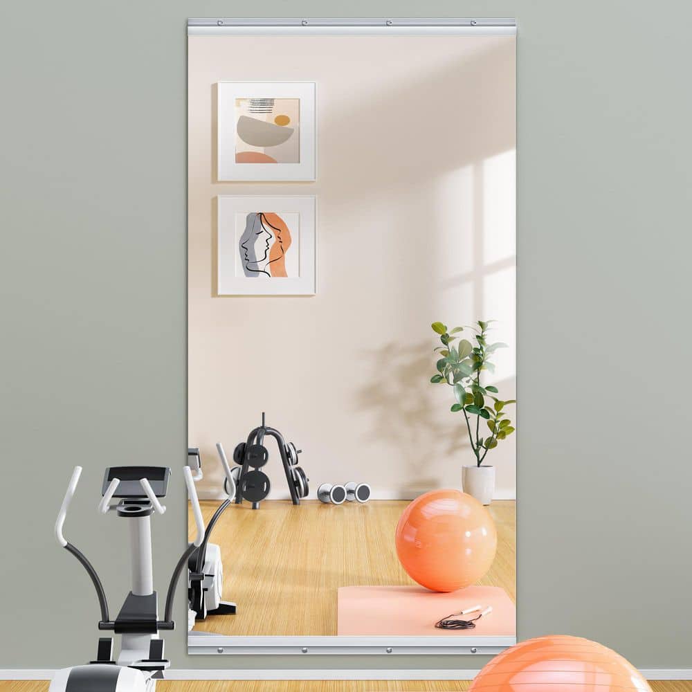 Vosuja 28 in. W x 63 in. H Rectangle Frameless Wall-Mounted HD Home Gym ...