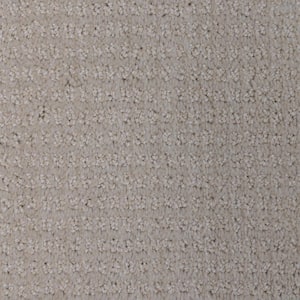 TrafficMaster 8 in. x 8 in. Pattern Carpet Sample - Tailgate Classic ...