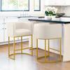 LUE BONA 26 in.Beige Gold Low Back Bar Stool with Metal Frame Counter ...