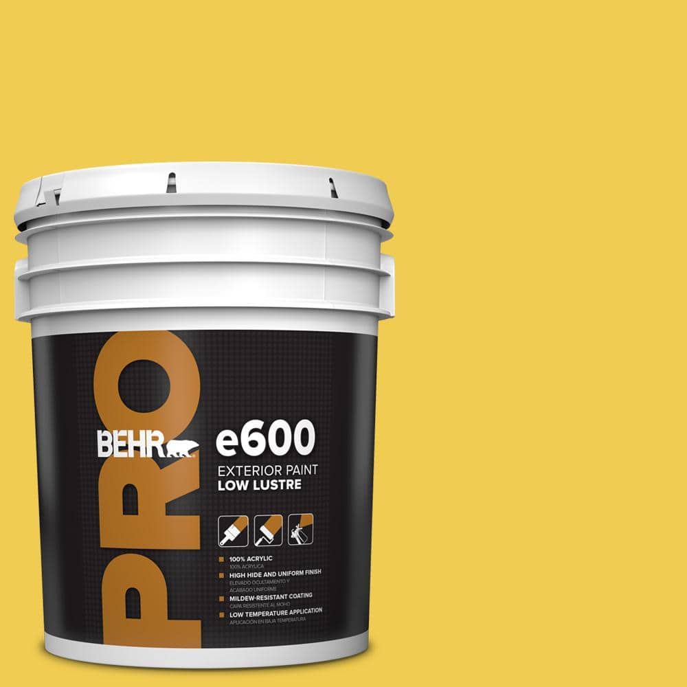 BEHR PRO 5 gal. #P310-6 Radiant Sun Low Luster Exterior Paint PR62305 ...
