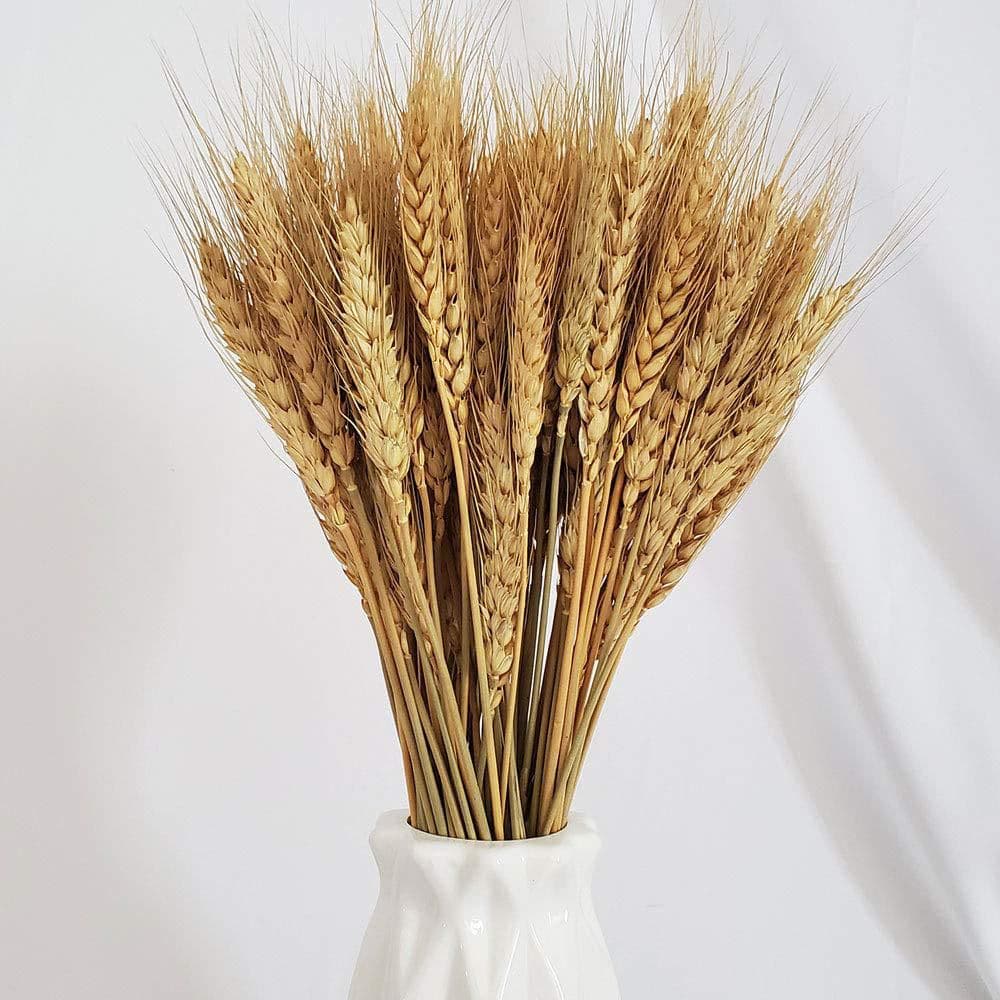 2.2 in. Farmhouse Natural Wheat Stalks 100 Pieces Gold Artificial Plant ...