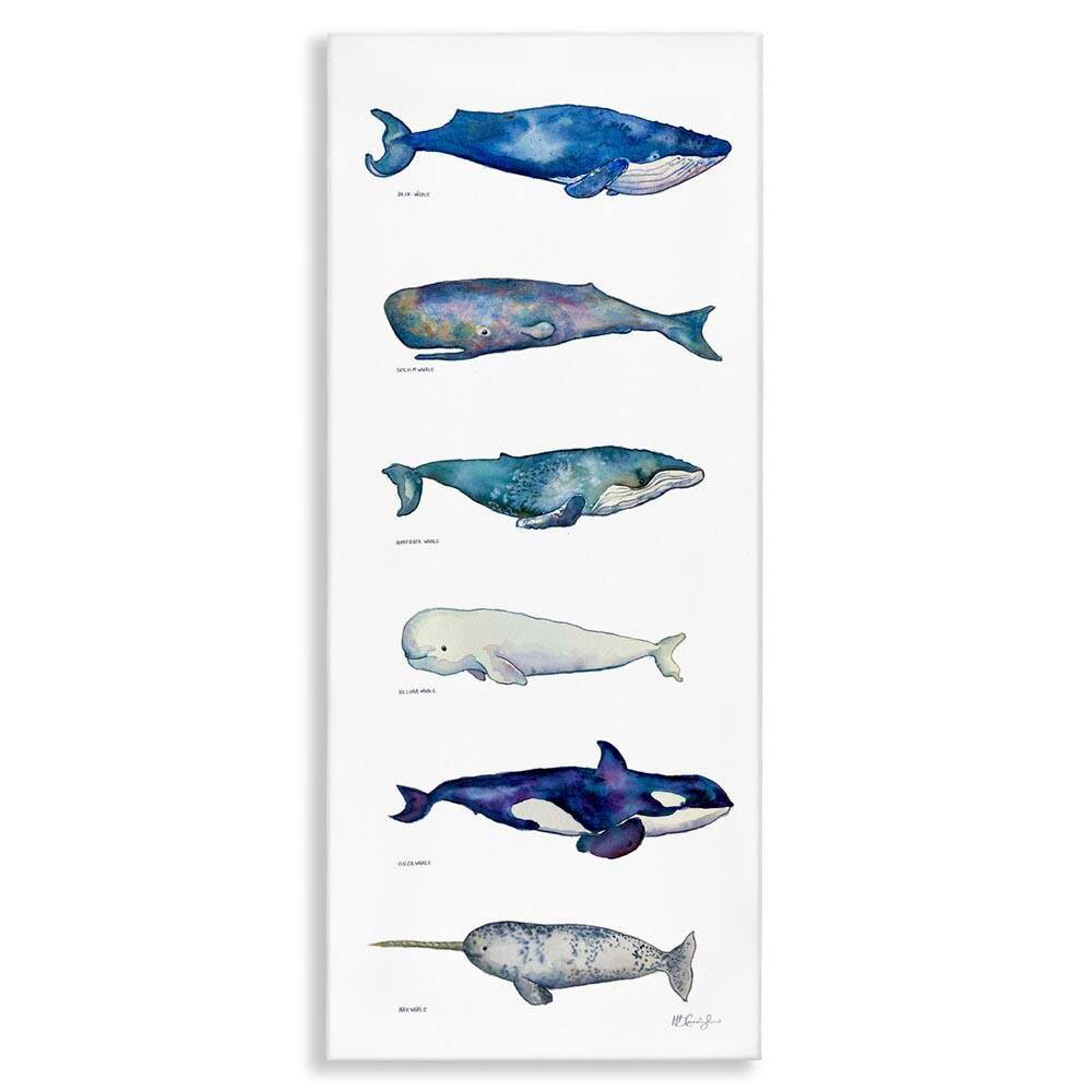 Stupell Industries Maritime Sea Life Chart by MB Cunningham Unframed ...
