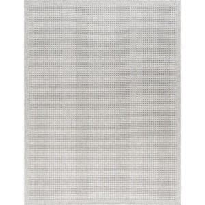 Tayse Rugs Denver Basketweave Blue 2 ft. x 3 ft. Indoor/Outdoor Area ...