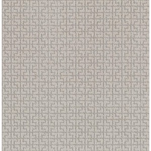 Shaw 8 in. x 8 in. Pattern Carpet Sample - Claymore - Color Studio SH ...