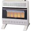 ProCom 25,000 BTU Liquid Propane Ventless Infrared Plaque Heater with ...