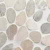 Ivy Hill Tile Countryside Gray Sliced Round 4 in. x 6 in. Mosaic Floor ...