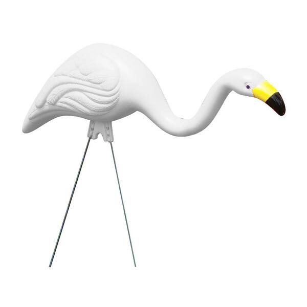 White Flamingos