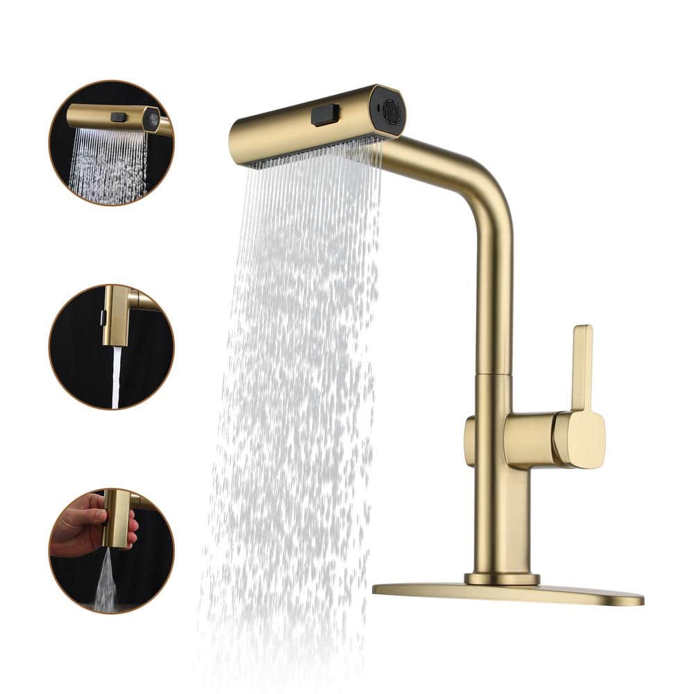 CASAINC Single Handle Pull Out Sprayer Kitchen Faucet with 3 Functions ...