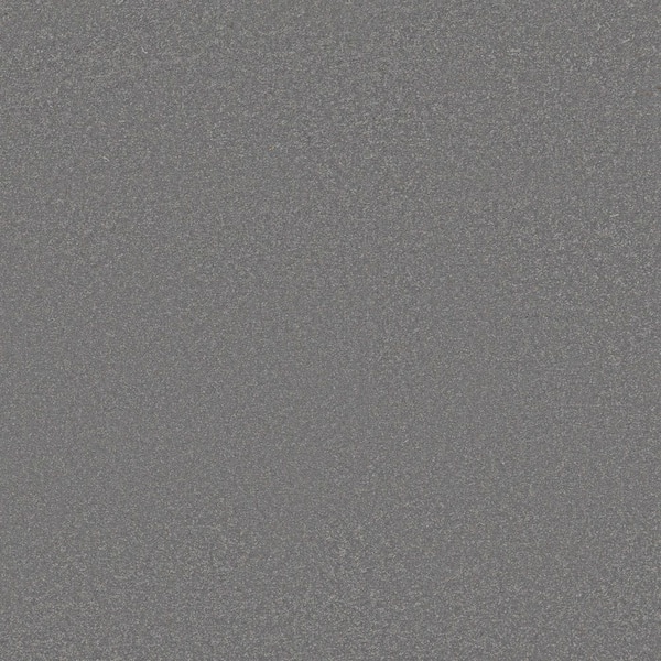 Lifeproof Park Royal II Steel Gray 52 oz. Nylon Texture Carpet ...