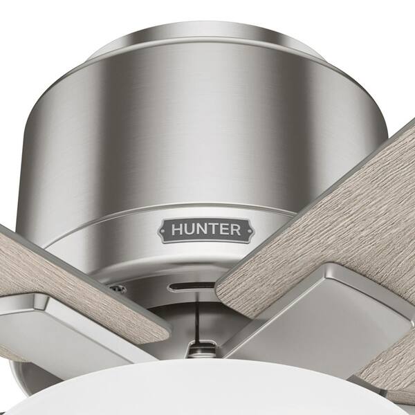 Holden 44 In Indoor Brushed Nickel Ceiling Fan With Light Kit | Shelly ...