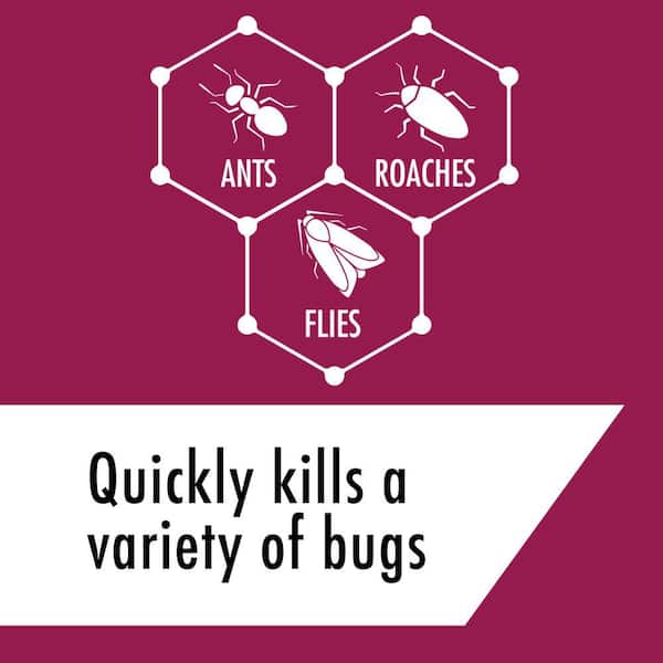 STEM Kills Ants, Roaches and Flies, Plant-Based Active Ingredient ...