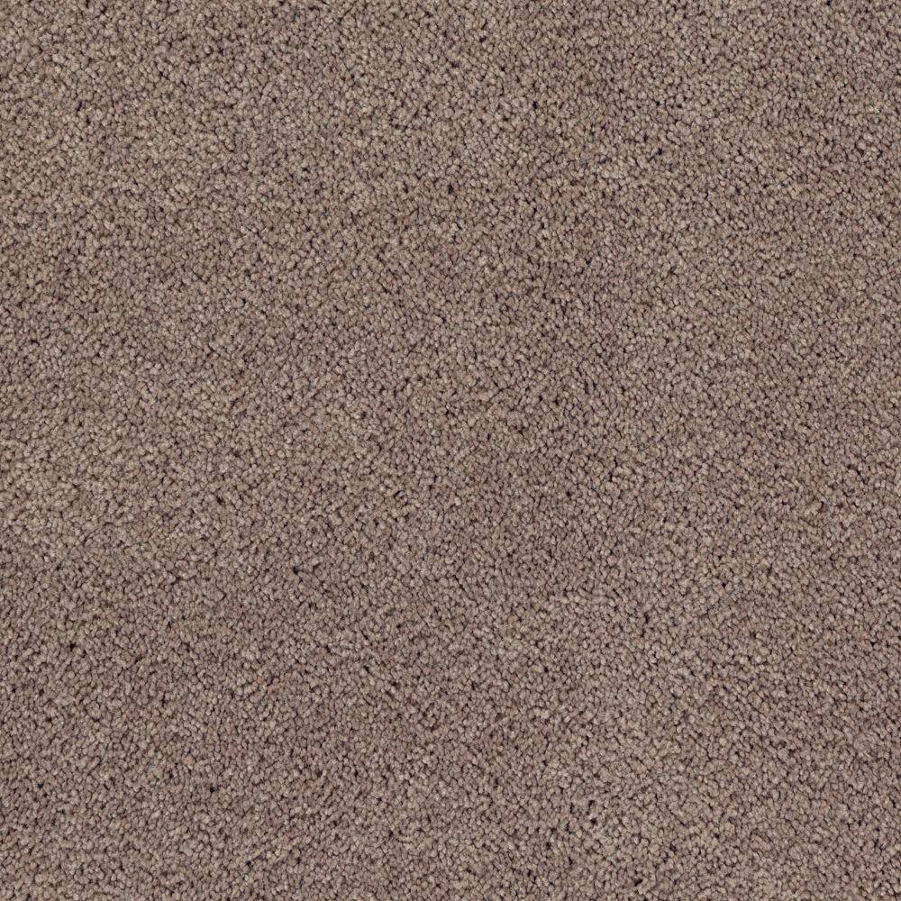 Comfortable I - Color Milk Chocolate 12 ft. Carpet 0207D-29-12 - The ...