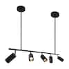 RRTYO Vortex 4 ft. Black Fixed Track Lighting Kit 81010000002228 - The ...