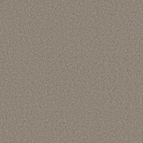 Lifeproof 8 in. x 8 in. Texture Carpet Sample - Coastal Charm I -Color ...