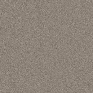 Lifeproof 8 in. x 8 in. Texture Carpet Sample - Coastal Charm II -Color ...