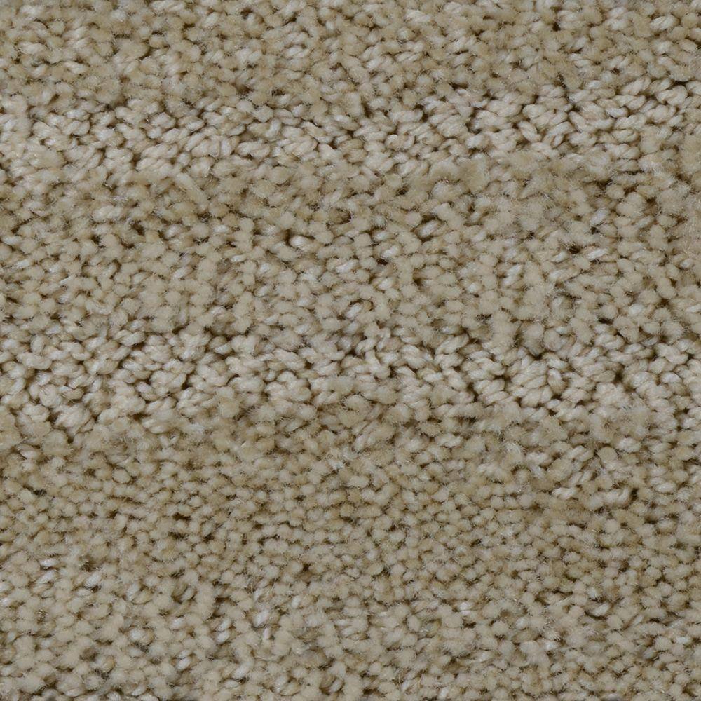 TrafficMaster Exquisite II - Color Madison Pattern 12 ft. Carpet H0101 ...