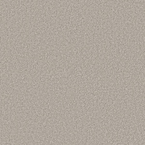 Home Decorators Collection 8 in. x 8 in. Texture Carpet Sample ...