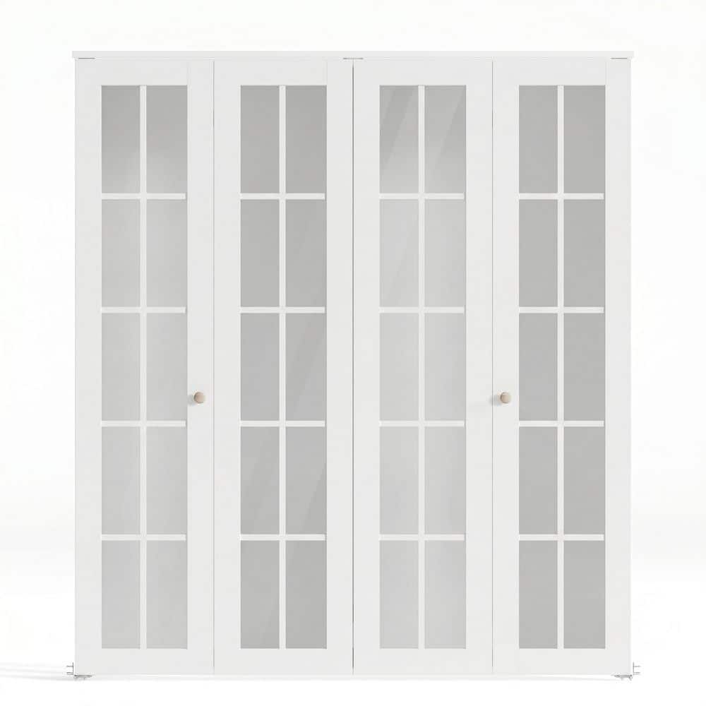 GOLDENPOLEY 60 in. x 78.75 in. (Double 30 in.)10-Lite Clear Glass Solid ...
