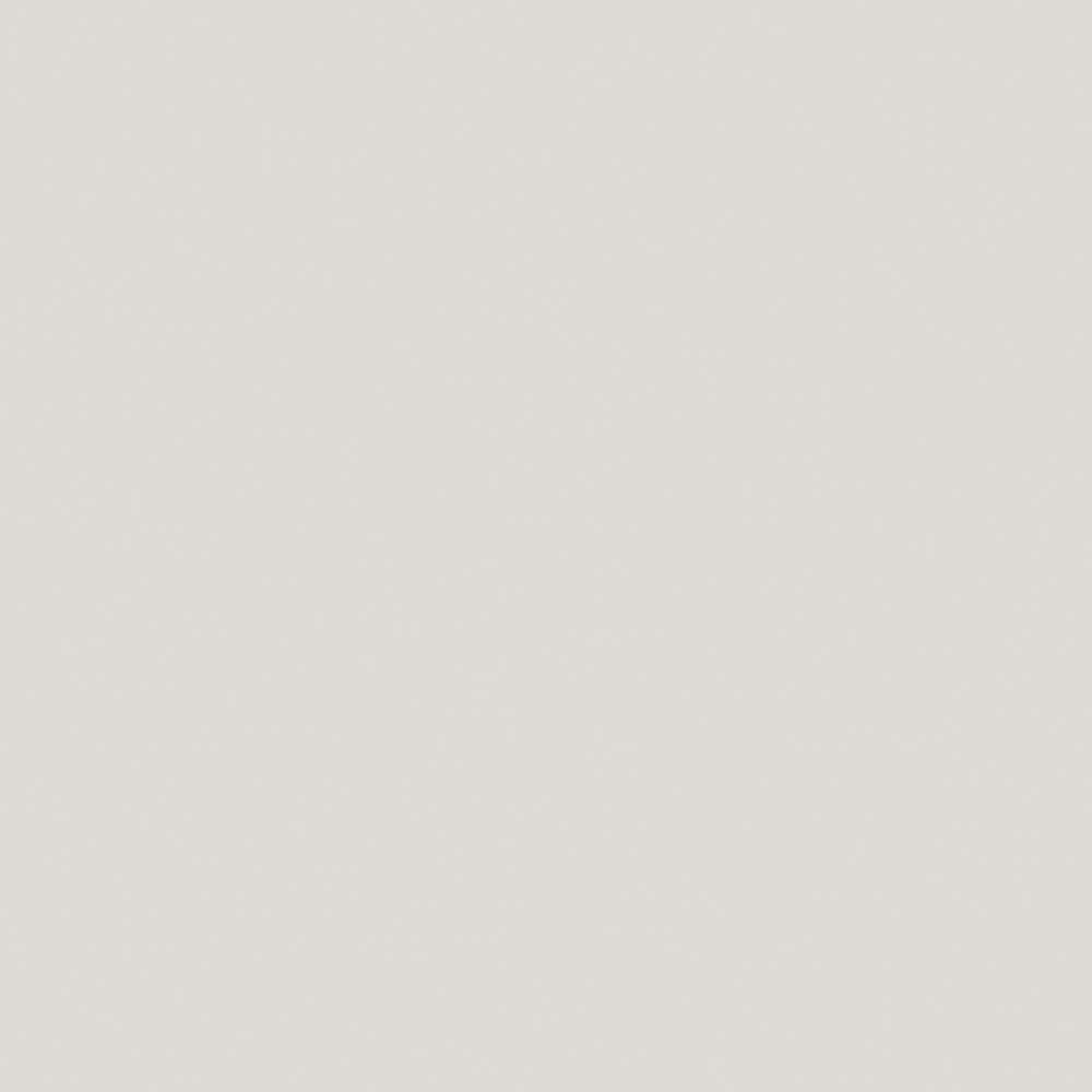 FORMICA 4 ft. x 8 ft. Laminate Sheet in Graystone with Matte Finish ...