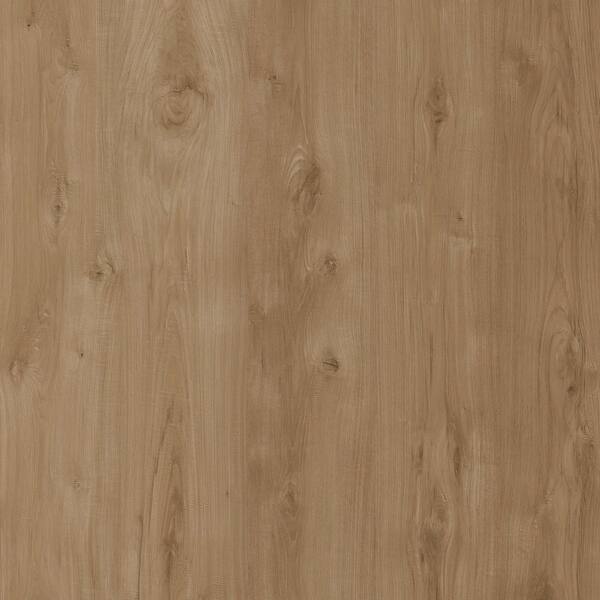 Lifeproof Sapelo Mount 12 MIL x 8.7 in. W x 48 in. L Click Lock ...