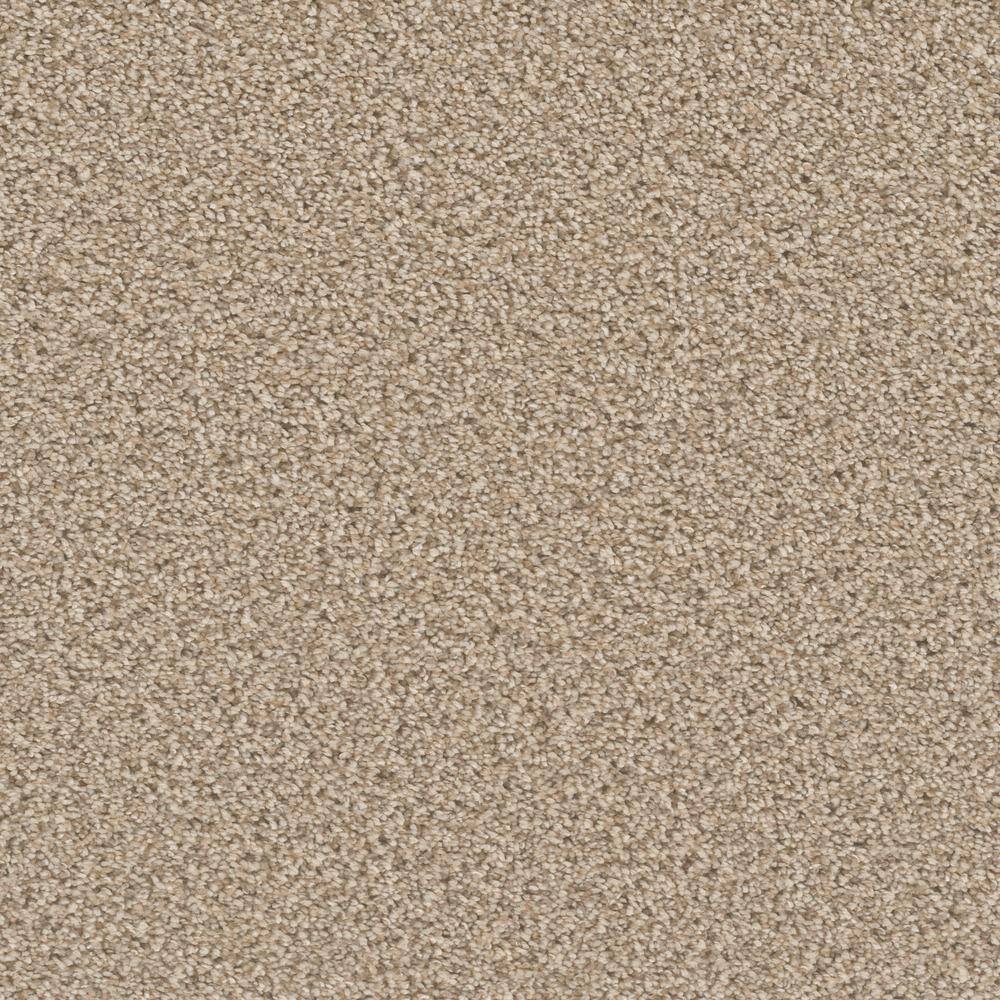 Home Decorators Collection 8 in. x 8 in. Texture Carpet Sample ...