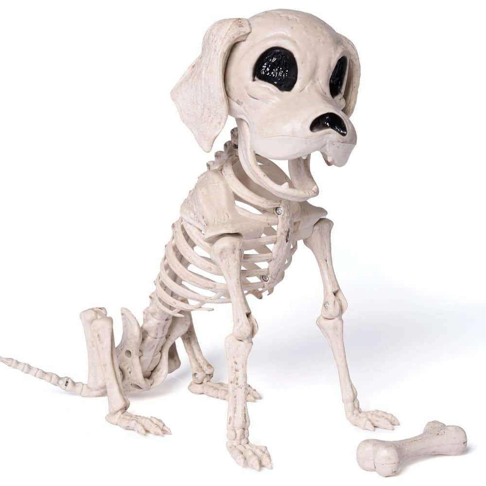 Posable Dog Skeleton with Full Body Articulation L0C8MQ4FL3 - The Home ...