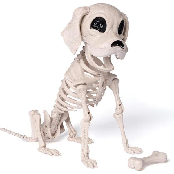 Posable Dog Skeleton with Full Body Articulation L0C8MQ4FL3 - The Home ...