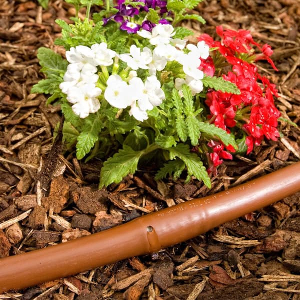 DIG 0.50 in. x 100 ft. Earthline Brown PC 1-GPH Pressure Compensating ...