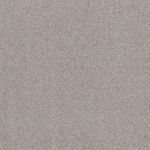 Lifeproof 8 in. x 8 in. Texture Carpet Sample - Urban Artifact I ...