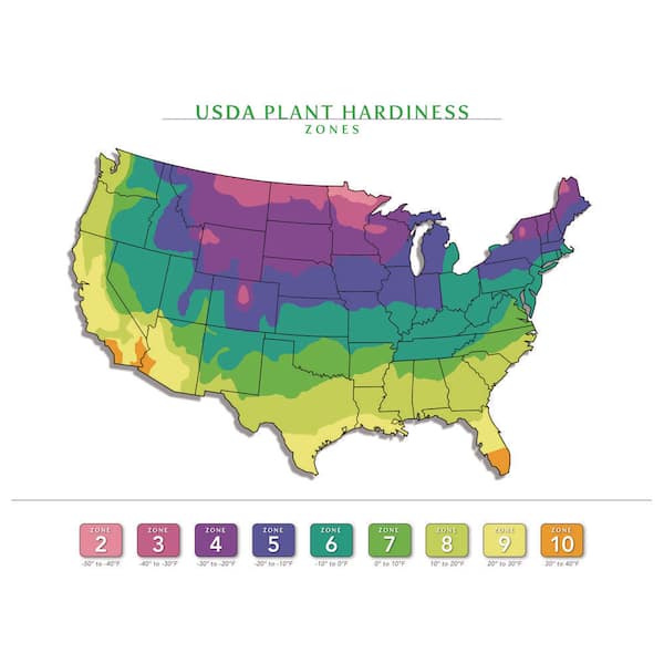 Zones For Planting Fruit Trees