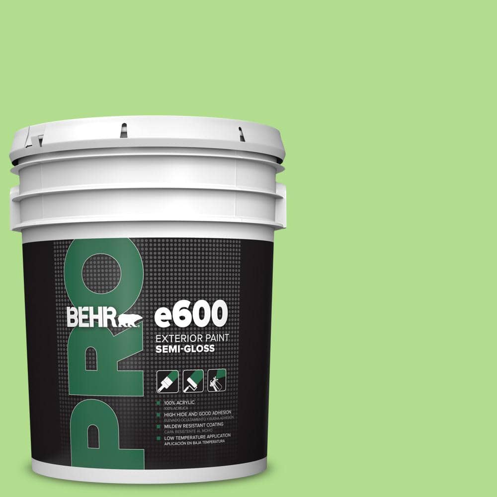 BEHR PRO 5 gal. #MQ4-46 Early Spring Semi-Gloss Exterior Paint PR67005 ...