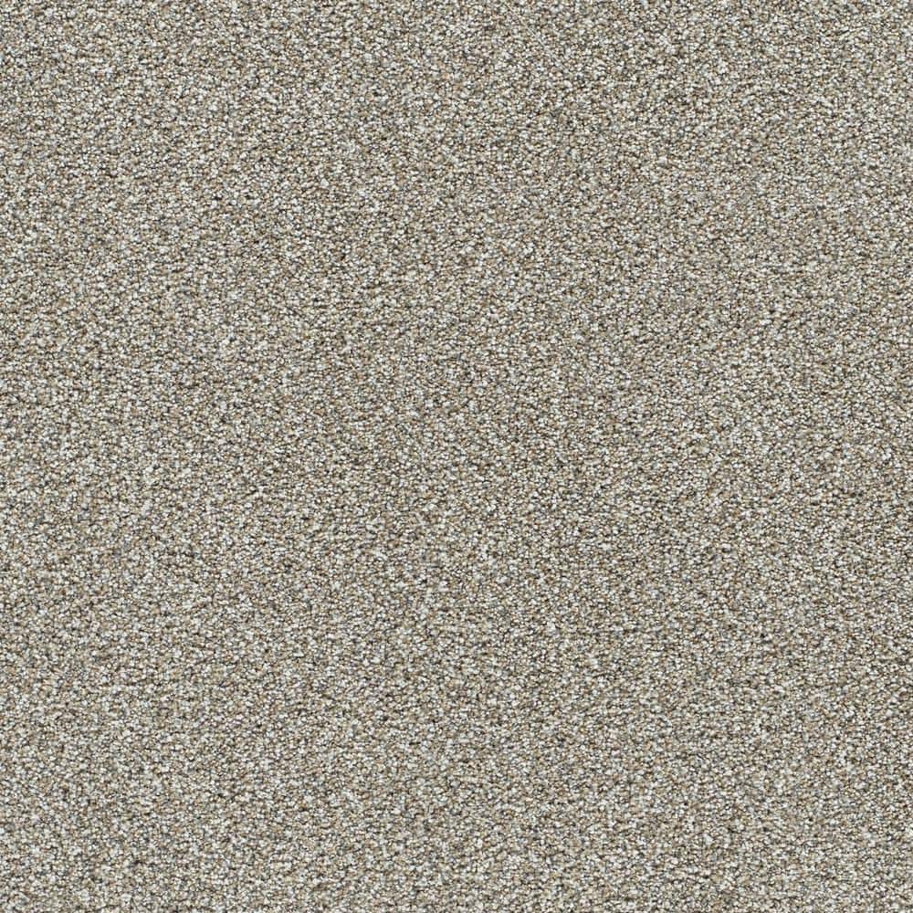 Lifeproof 8 in. x 8 in. Texture Carpet Sample - Evermore III - Color ...