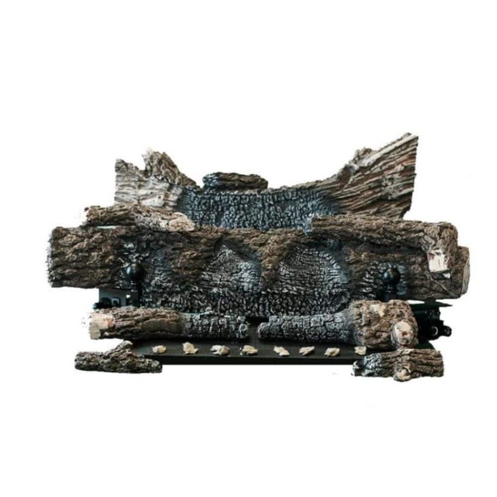 BUCK STOVE Buck Ember Vision-EV100 24 in. Oak Ceramic 40,000 BTU's Vent ...
