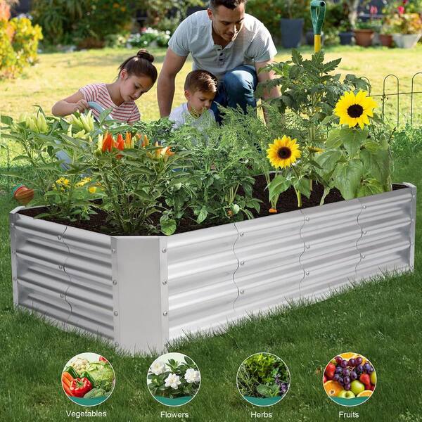 Large Vegetable Garden Planter Boxes Raised Garden Beds