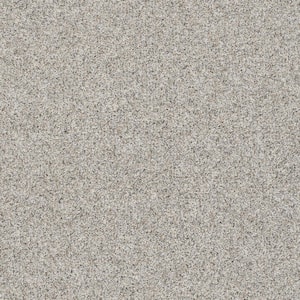 Lifeproof 8 in. x 8 in. Texture Carpet Sample - Folklore I - Color ...