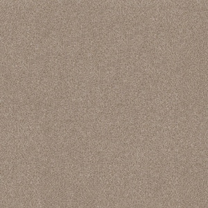 Home Decorators Collection 8 in x 8 in. Texture Carpet Sample ...