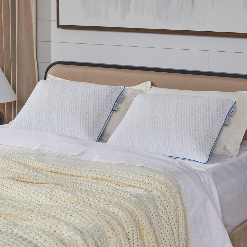 LA-Z-BOY Serene Foam Density Pillow Traditional/ Soft-Medium, Queen ...
