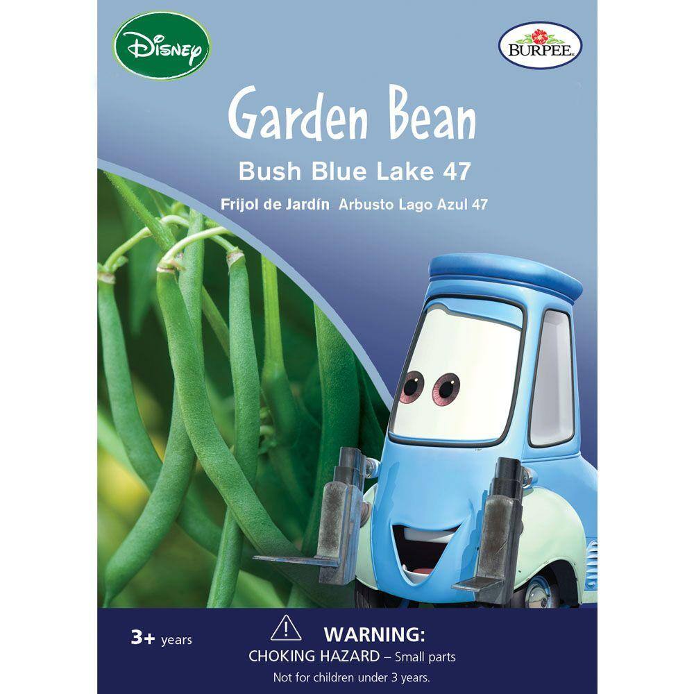 Burpee Bush Blue Lake 47 Bean 62958 - The Home Depot