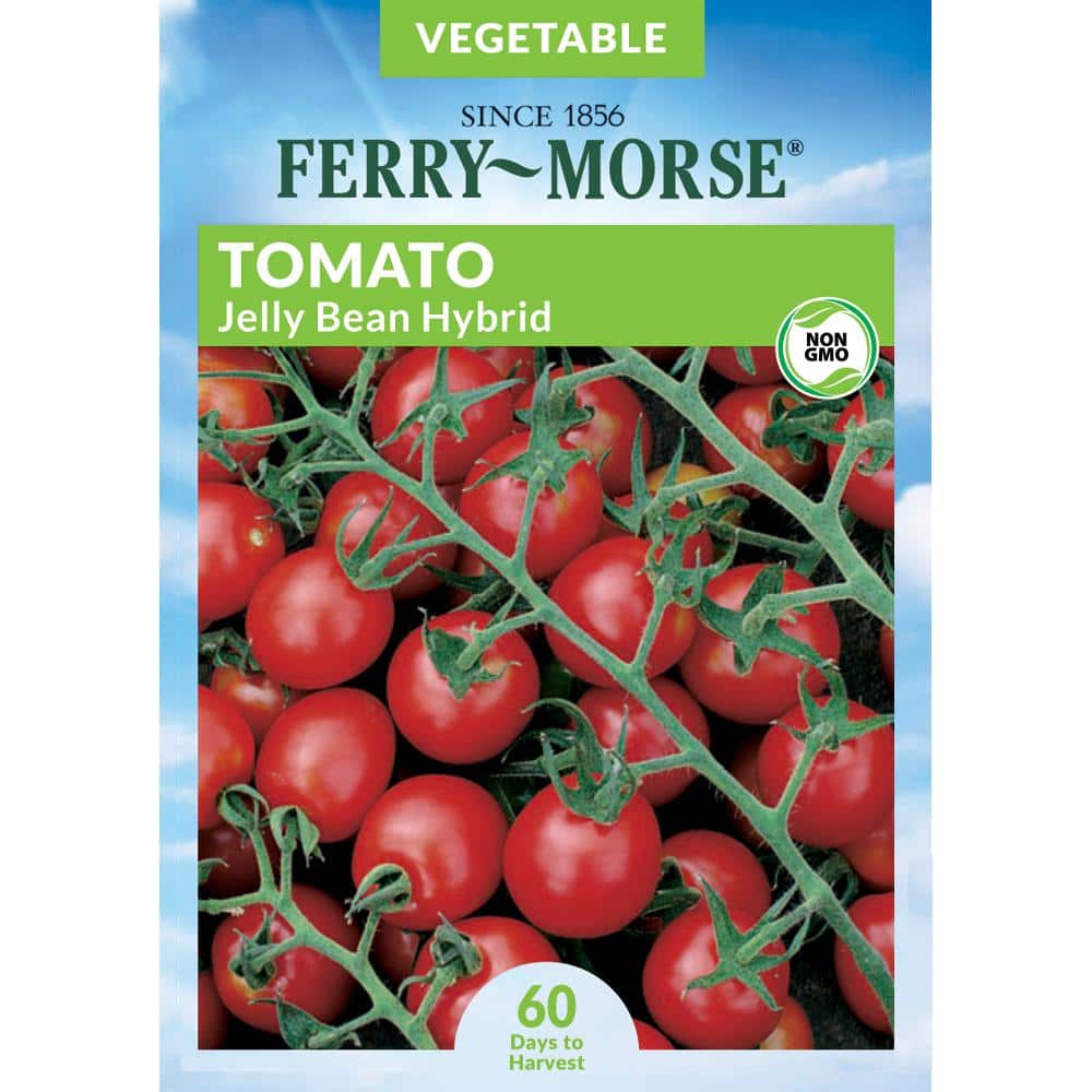 Ferry-Morse Tomato Jelly Bean Hybrid Pelleted Fruit Seed 8103 - The ...
