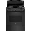 GE 30 in. 4 Burner Element Free-Standing Electric Range in Black ...